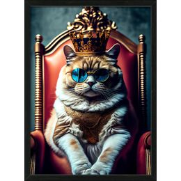 Pro Art Gerahmtes Bild THE CAT IS KING