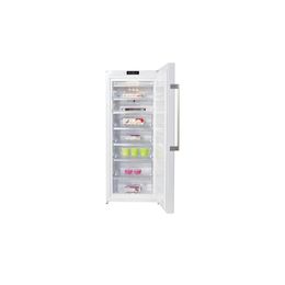Bauknecht Gefrierschrank GKN 272 A3+ &brvbar; wei&szlig; &brvbar; Kunststoff,Metall lackiert &brvbar; Ma&szlig;e (cm): B: 71 H: 175 T: 76.0 &raquo; H&ouml;ffner