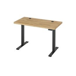 H&ouml;ffner Schreibtisch Toulouse holzfarben Ma&szlig;e (cm): B: 120 H: 76 T: 60.0 &raquo; H&ouml;ffner