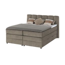 H&ouml;ffner Boxspringbett mit Bettkasten Claire &brvbar; braun &brvbar; Ma&szlig;e (cm): B: 196 H: 115