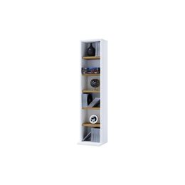 H&ouml;ffner Standregal Elementa &brvbar; mehrfarbig &brvbar; Ma&szlig;e (cm): B: 21 H: 91,8 &raquo; H&ouml;ffner