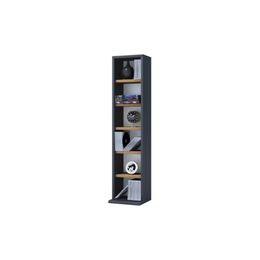 H&ouml;ffner Standregal Elementa &brvbar; mehrfarbig &brvbar; Ma&szlig;e (cm): B: 21 H: 91,8 &raquo; H&ouml;ffner