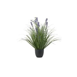 H&ouml;ffner Lavendel getopft &brvbar; lila/violett &brvbar; Kunststoff &brvbar; Ma&szlig;e (cm): H: 56 &Oslash;: 35 &raquo; H&ouml;ffner