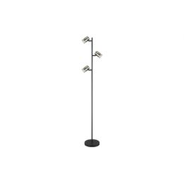 Globo Lighting Stehleuchte &brvbar; schwarz &brvbar; Ma&szlig;e (cm): H: 154 &Oslash;: 23 &raquo; H&ouml;ffner