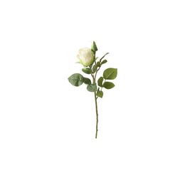 H&ouml;ffner Rose &brvbar; creme &brvbar; Kunststoff,Eisen &brvbar; Ma&szlig;e (cm): H: 37 &raquo; H&ouml;ffner