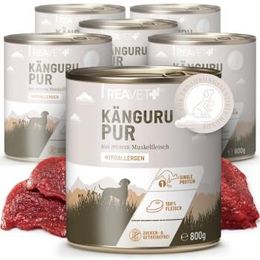 REAVET Hundenassfutter - K&auml;nguru PUR | 6 x 800g
