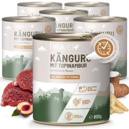 REAVET Hundenassfutter &ndash; K&auml;nguru mit Topinambur an Pastinake & Pflaume | 6 x 800g
