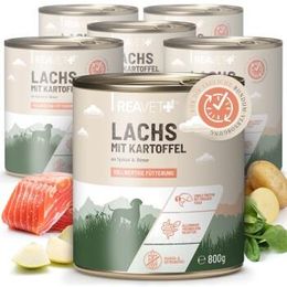 REAVET Hundenassfutter - Lachs mit Kartoffeln an Spinat & Birne | 6 x 400g