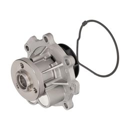 INA Wasserpumpe 538030310 f&uuml;r Vaughall CHEVROLET (SGM) GM Fiat