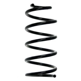 SPIDAN Fahrwerksfeder 55274 Hinterachse f&uuml;r Fiat