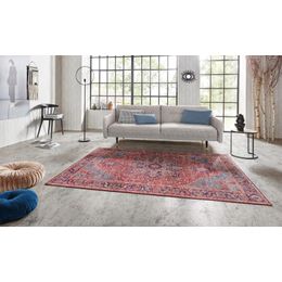 Teppich Hanse Home "Amata" Gr. 6, rot, B:200cm H:5mm L:290cm, Polyester, Teppiche, Teppich, Orientalisch, L&auml;ufer, Vintage, Wohnzimmer, Schlafzimmer, Esszimmer