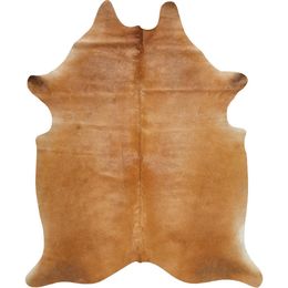 Linea Natura Rinderfell, Braun, Fell, Echtleder, Rindleder, Tier, Tierform, 160x250 cm, Teppiche & B&ouml;den, Teppiche, Fellteppiche