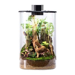 Bioloark Bio Bottle ZD Glasterrarium 200