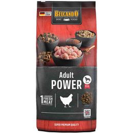 Belcando Adult Power Hunde-Trockenfutter f&uuml;r Leistungshunde 2x12,5kg