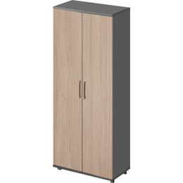 Sch&auml;fer Shop Sch&auml;fer Shop Genius Fl&uuml;gelt&uuml;renschrank TETRIS WOOD, 5 OH, H&ouml;he inkl. Gleiter, B 800 mm, graphit/Eiche