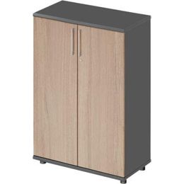 Sch&auml;fer Shop Sch&auml;fer Shop Genius Fl&uuml;gelt&uuml;renschrank TETRIS WOOD, 3 OH, H&ouml;he inkl. Gleiter, B 800 mm, graphit/Eiche