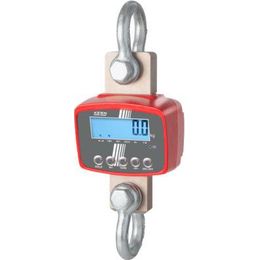 Kern Kranwaage HFD 600K-1, W&auml;gebereich 150&ndash;600 kg, Ablesbarkeit ab 50 g, robust und mobil