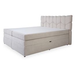 Boxspringbett Harper WITHAM
