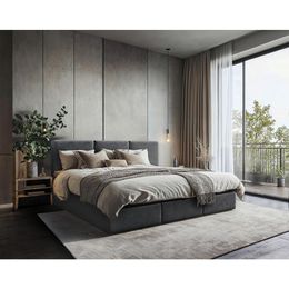 Livetastic Familienbett, Anthrazit, Kunststoff, H3, 7-Zonen, H&ouml;he ca. 21 cm, 240x200 cm, Bettkasten, gepolstertes Kopfteil, Stoffauswahl, in verschiedenen Gr&ouml;&szlig;en erh&auml;ltlich, Schlafzimmer, Betten, Familienbetten
