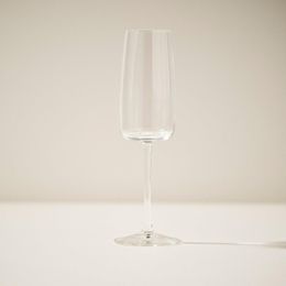 IKEA DYRGRIP Sektglas