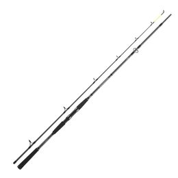 Daiwa Seahunter X 2.60m 60-180g Makrelen-Meeresrute