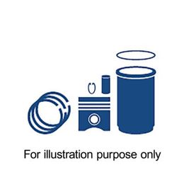 Mahle Reparatursatz, Kolben/Zylinderlaufbuchse 0400290 f&uuml;r Peugeot