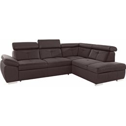 Ecksofa exxpo - SOFA FASHION "Spring, super bequem und komfortabel mit Armteil- und Kopfteilfunktion", braun (mocca), B:274cm H:81cm T:206cm, NaturLEDER (echtes Rindsleder) in Sitz und R&uuml;cken. Korpus in passendem Kunstleder SOFTLUX bezogen;Luxus-Microfaser (100% Polyester);Struktur ( 100% Polyester), Sofas, Ecksofa, wahlweise mit Bettfunktion und Bettkasten, L-Form
