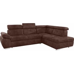 Ecksofa exxpo - SOFA FASHION "Spring, super bequem und komfortabel mit Armteil- und Kopfteilfunktion", braun (chocolate), B:274cm H:81cm T:206cm, NaturLEDER (echtes Rindsleder) in Sitz und R&uuml;cken. Korpus in passendem Kunstleder SOFTLUX bezogen;Luxus-Microfaser (100% Polyester);Struktur ( 100% Polyester), Sofas, Ecksofa, aus Luxus-Microfaser +Simply Clean - f&uuml;r besonders einfache Reinigung