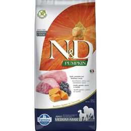 Farmina N&D Pumpkin Dog Lamm Adult Medium Maxi Hunde-Trockenfutter Lamm 12kg