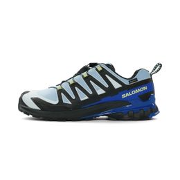 Salomon XA Pro 3D V9 GTX Icon Herren