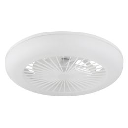 Globo Deckenventilator FERRELL