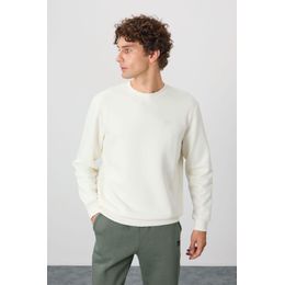 Herren Sweatshirt mit Rundhalsausschnitt in Regular Fit