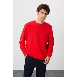 Herren Sweatshirt mit regul&auml;rem Schnitt und Rundhalsausschnitt