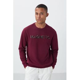 Herren Sweatshirt mit Rundhalsausschnitt und Print