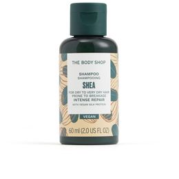 Body Shop Shea Shampoo 60 ml