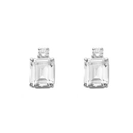 U.S. Polo Assn. US Polo Assn Jewellery Emy Rhodium-Ohrringe