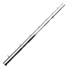 Daiwa Powermesh CF Boje 2,70m 150-400g Welsrute