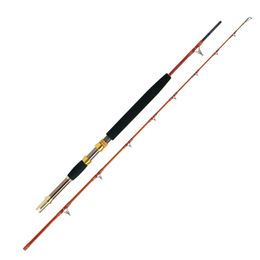 WFT 68 North LTC 2,10m 30 lbs Meeresrute