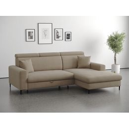 Ecksofa TRENDS BY HG "Nizza, L-Form, B: 250cm", beige (d516 enjoy new 36 antelop), B:250cm H:104cm T:166cm, 92% Polyester;8% Nylon, Sofas, Ecksofa, Schlaffunktion + Bettkasten