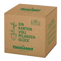 Floragard Zitrus- und Mediterranpflanzerde, 60 L Box