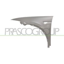 PRASCO Kotfl&uuml;gel ts7003004 vorne links
