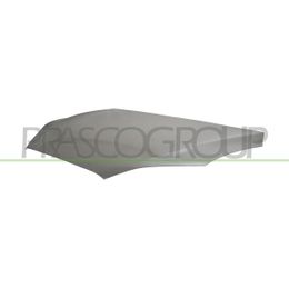PRASCO Motorhaube ts7003100