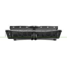 PRASCO Windabweiser ts6002405 vorne