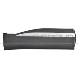 PRASCO Zier-/Schutzleiste, T&uuml;r mg5021464 hinten links
