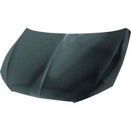 DIEDERICHS Motorhaube 7433200 f&uuml;r SEAT