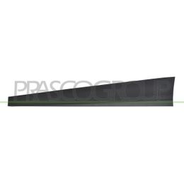 PRASCO Zier-/Schutzleiste, T&uuml;r mg2001404 vorne links