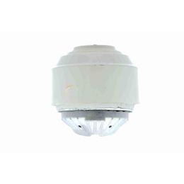 VAICO Lagerung, Motor Original Qualit&auml;t v3073871 vorne f&uuml;r Mercedes