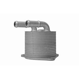 VEMO &Ouml;lk&uuml;hler, Automatikgetriebe v20600095 f&uuml;r BMW