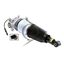 AIC Luftfederbein 71080 Hinterachse links f&uuml;r VAG