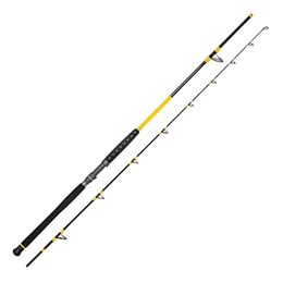 Black Cat Freestyle Pro Bank 2,80m 150-300g Welsrute